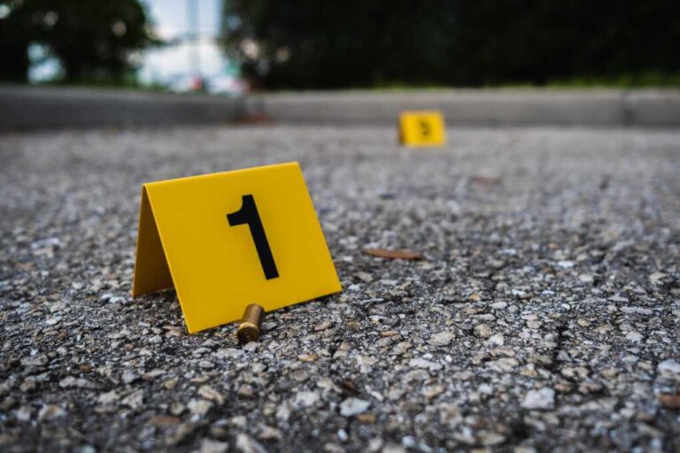 Fatal ICE Shooting Ignites Nationwide Protest Wave | The Conservative View